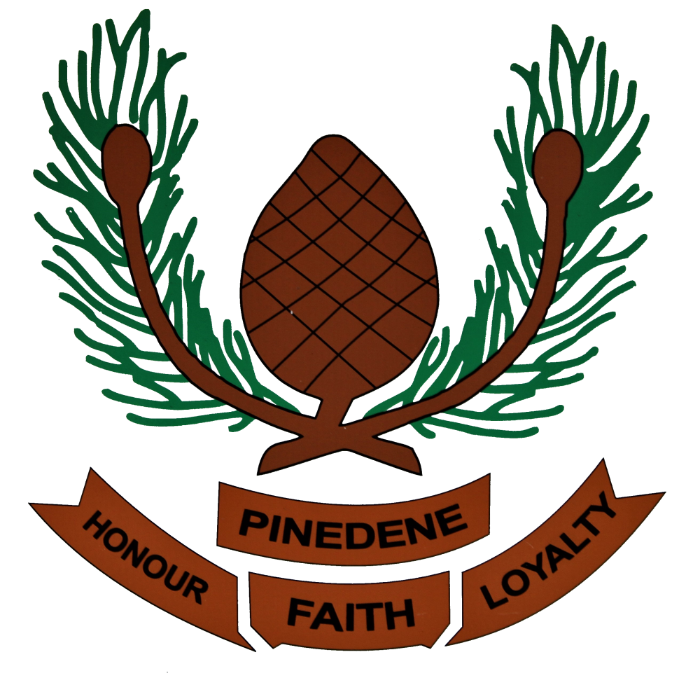 Pinedene Primary | Honour - Faith - Loyalty